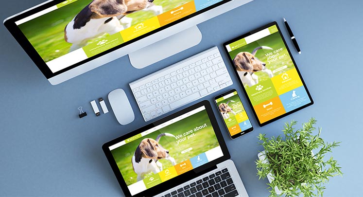 Top-Notch Website & Mobile App Design Freelance Services > Pixecart